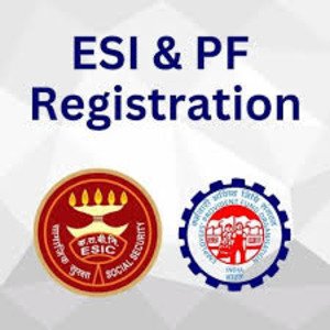 EPFO/ESIC Registration Services